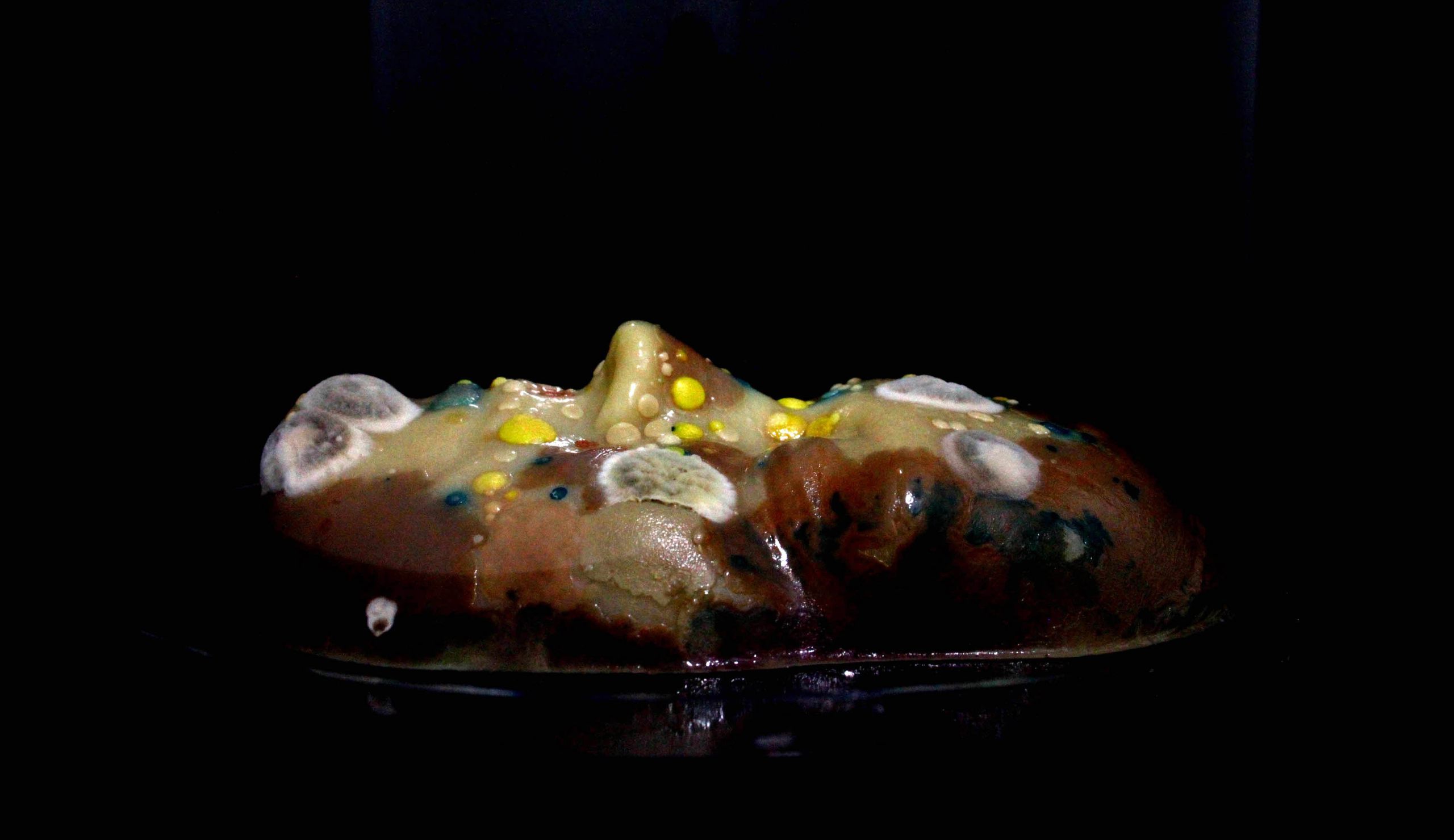 INVISIBLES. La vie cachée des microbes - L'Accroche Amphipôle | Explore ...